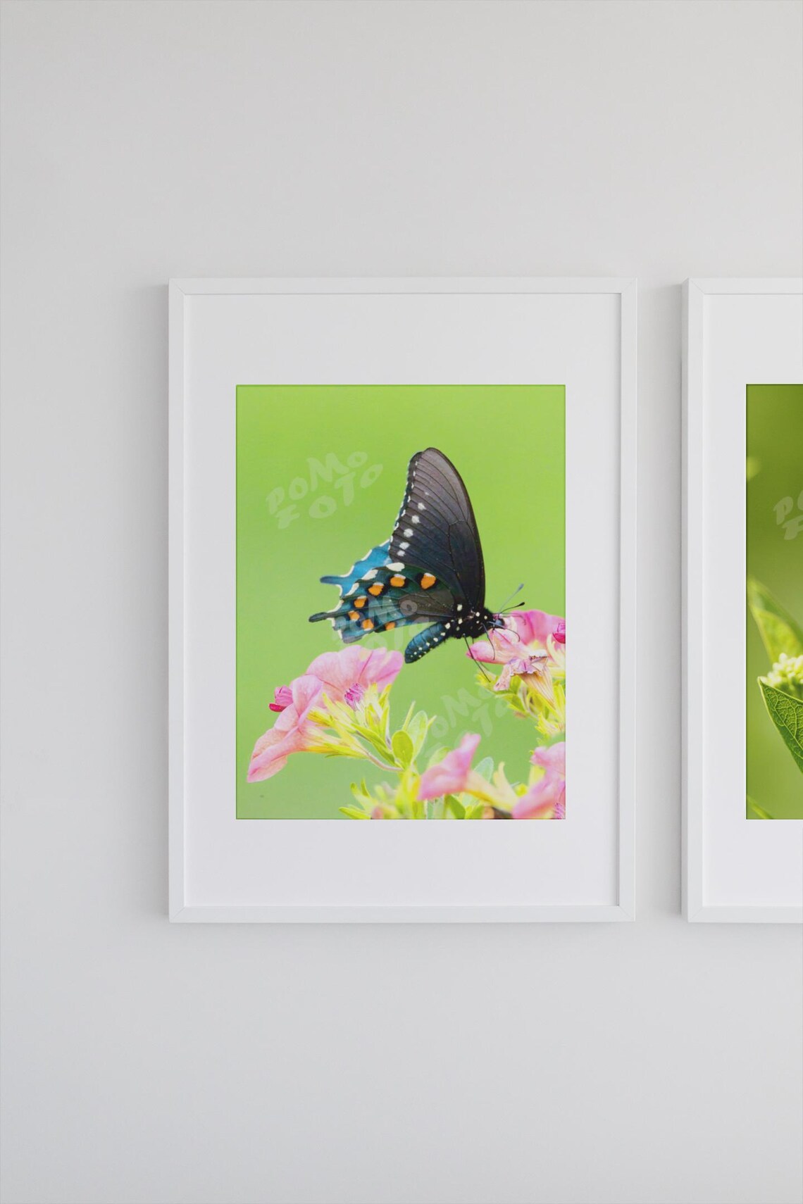 Black Swallowtail Butterfly on Pink Flowers Printable Wall Art Nature ...