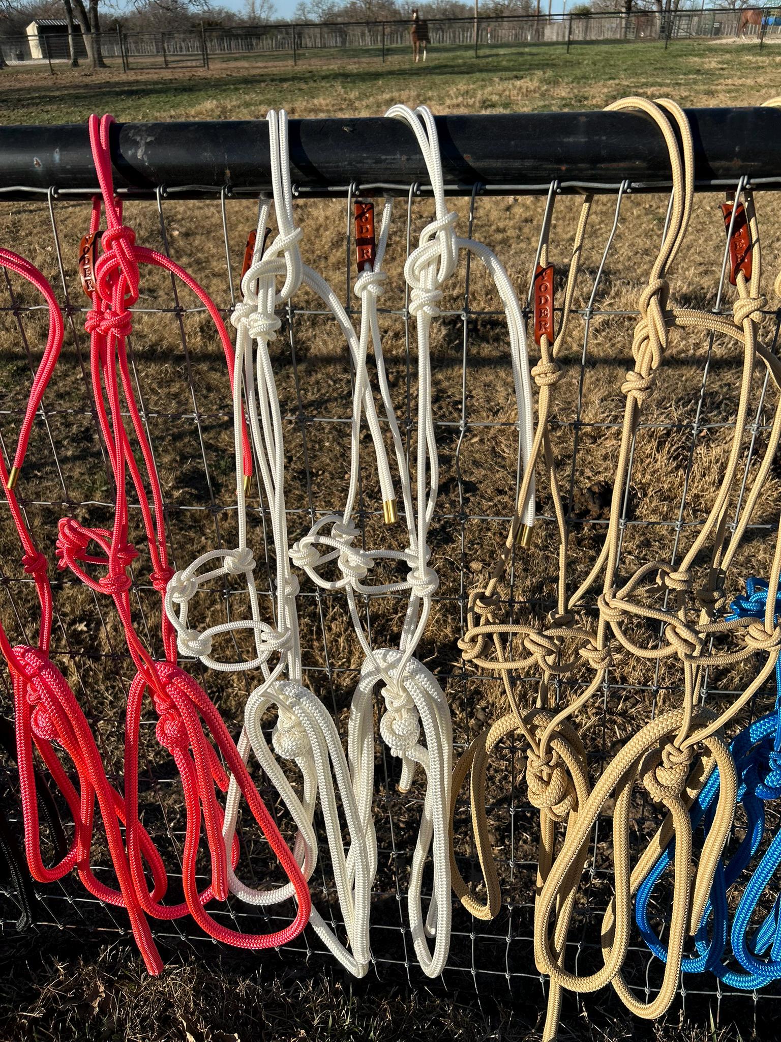 Four Knot Diamond Halters (equine)-6 Different Colors! - Etsy