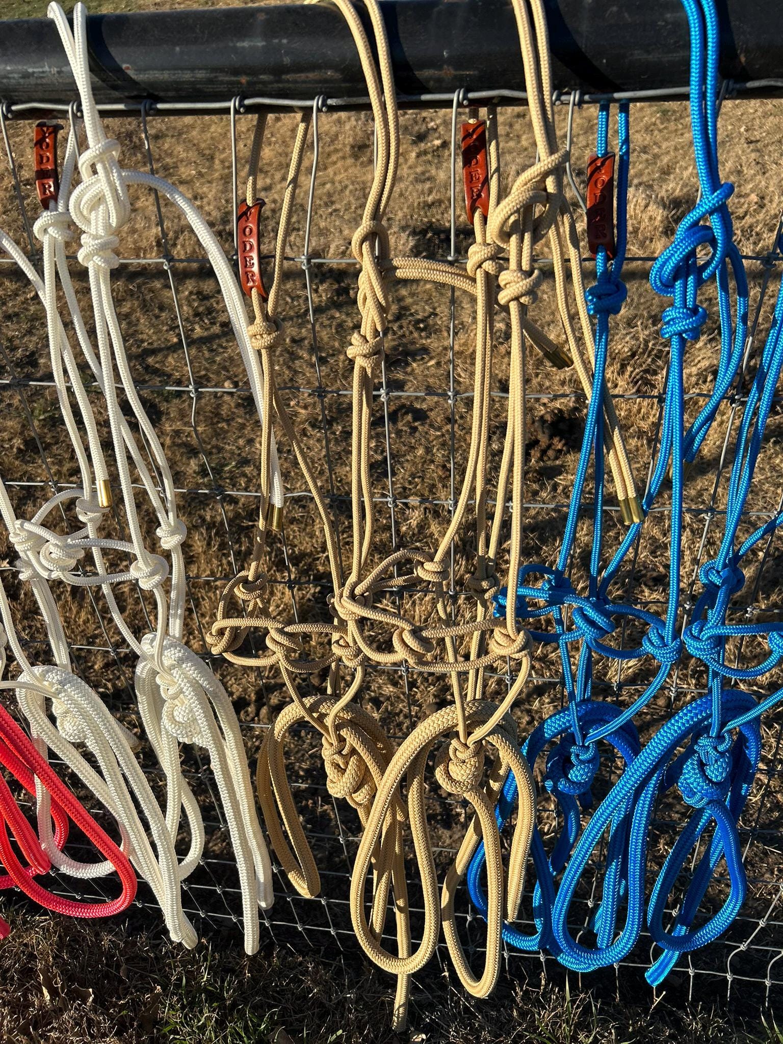 Four Knot Diamond Halters (equine)-6 Different Colors! - Etsy
