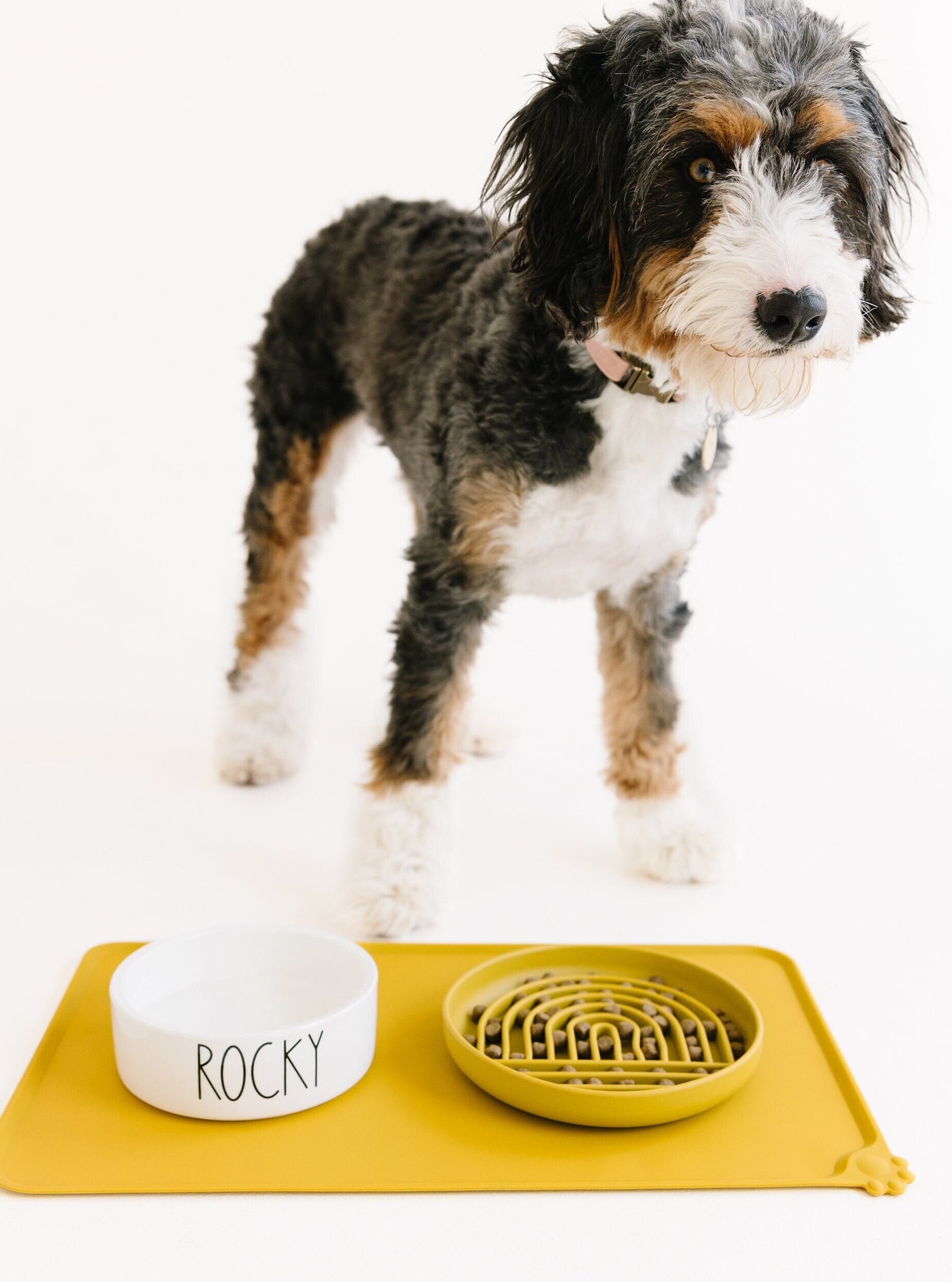 Silicone Pet Mats, Silicone Dog Mats, Feeding Mats, Slow Feed Bowl for ...