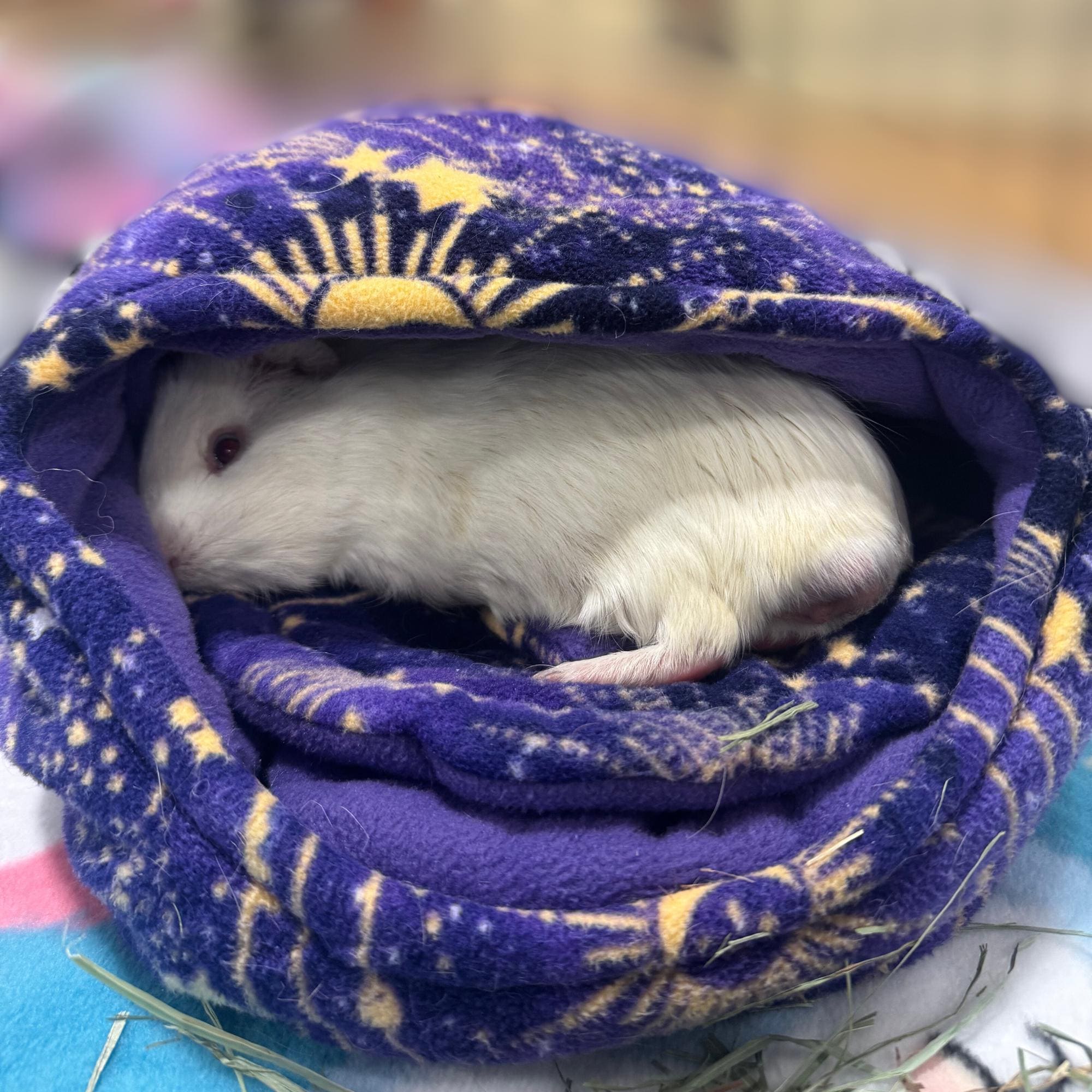 Fleece Guinea Pig Snuggle Pod: Cozy Pet Bed - Etsy