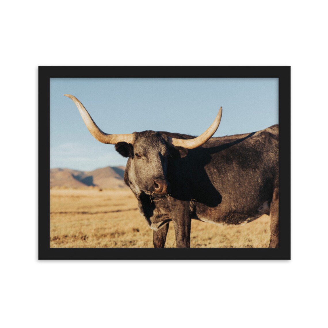 Stunning Cow Wall Art | Handcrafted Framed Matte Paper Poster | Rustic ...