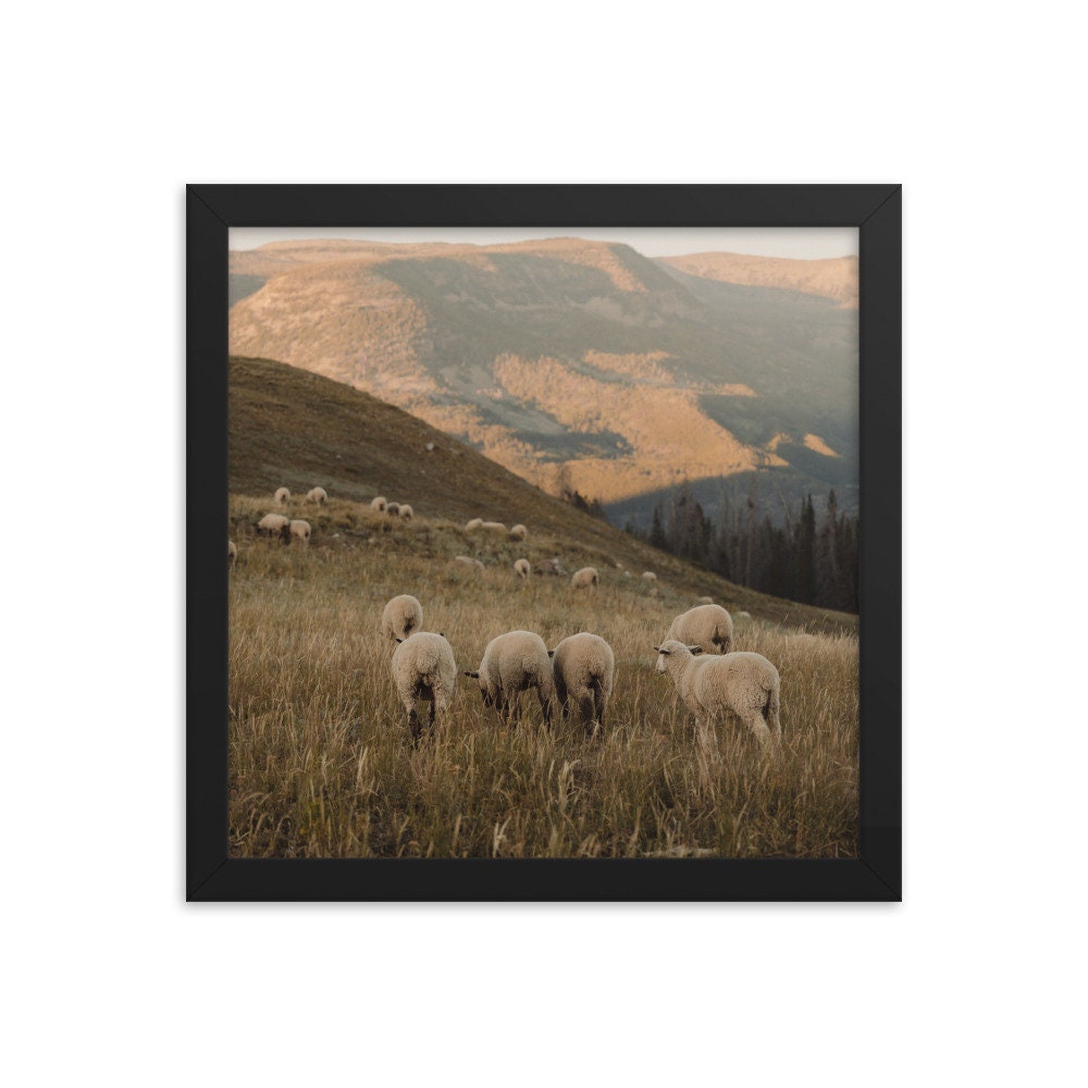 Unique High Mountain Sheep Wall Art Handmade Nature-inspired Design ...
