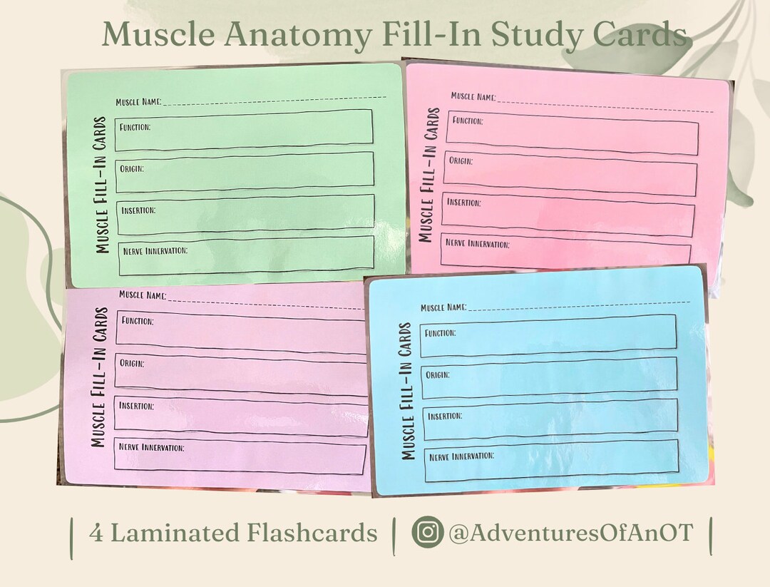 Muscle Fill-in Study Flashcards - Etsy