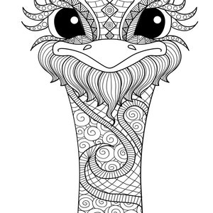 300 Pages Coloring Pages for Adults. Mixed Coloring. Coloring Book ...