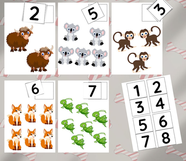 Practice Counting 1-10|counting to 1-10 With Woodland Animals |count ...