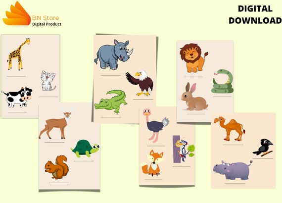 Forest Animals With Names