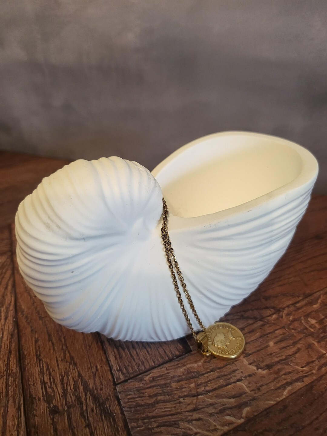 Curled Conch Shell - Etsy