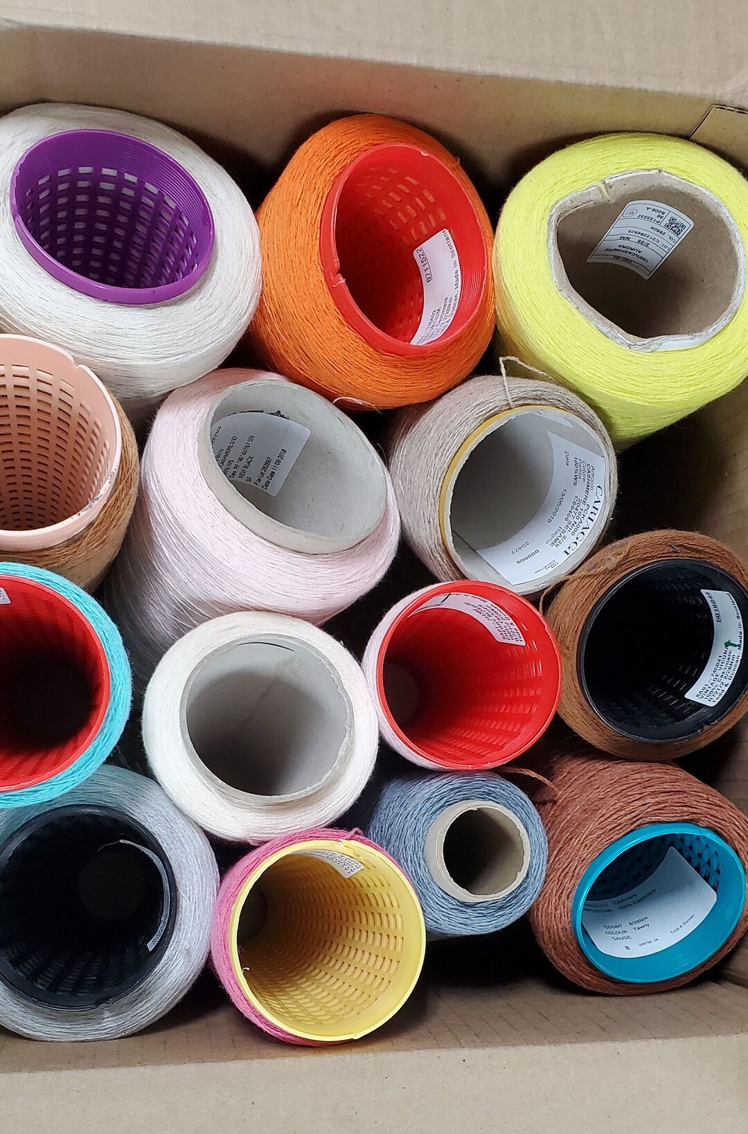 Cashmere Baby Cones 50g-300g Spring Cleaning Bulk Cones. About 4 Pounds ...