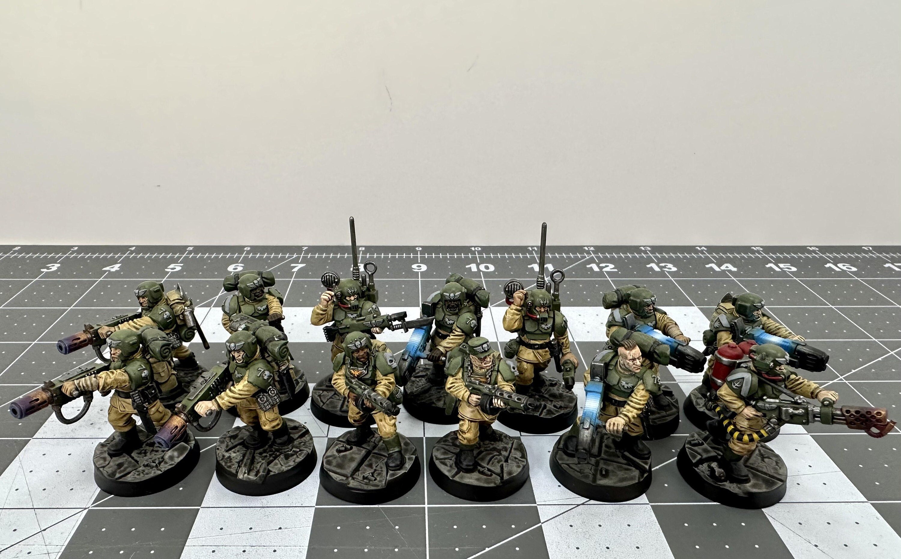 Cadian Shock Troops Sergeants and Special Weapons Painted Base - Etsy
