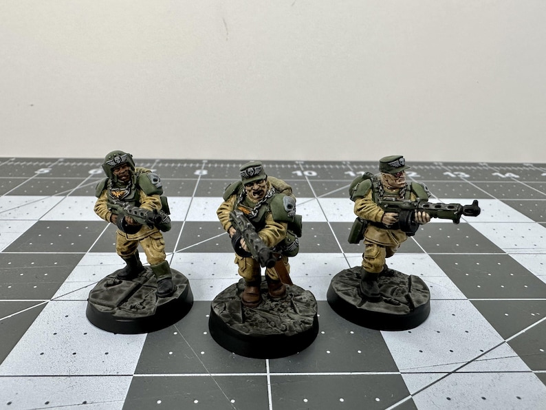 Cadian Shock Troops Sergeants and Special Weapons Painted Base - Etsy
