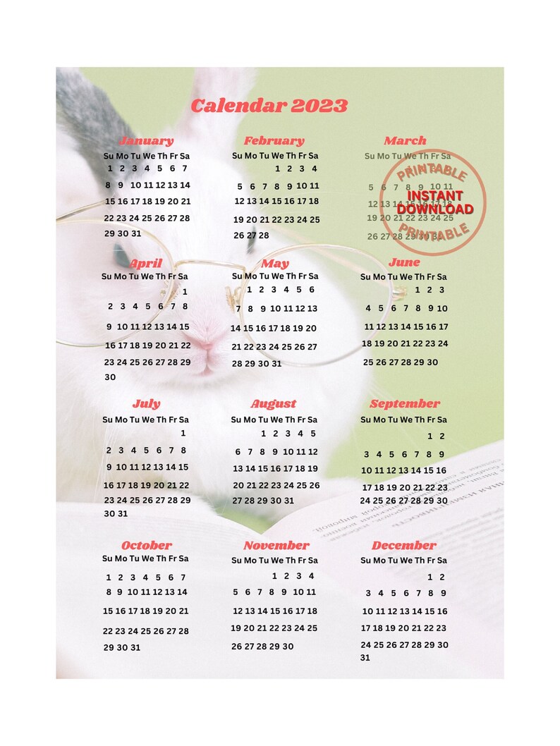 2023 Calendar Printable, Instant Download, 12 Months in One Page ...