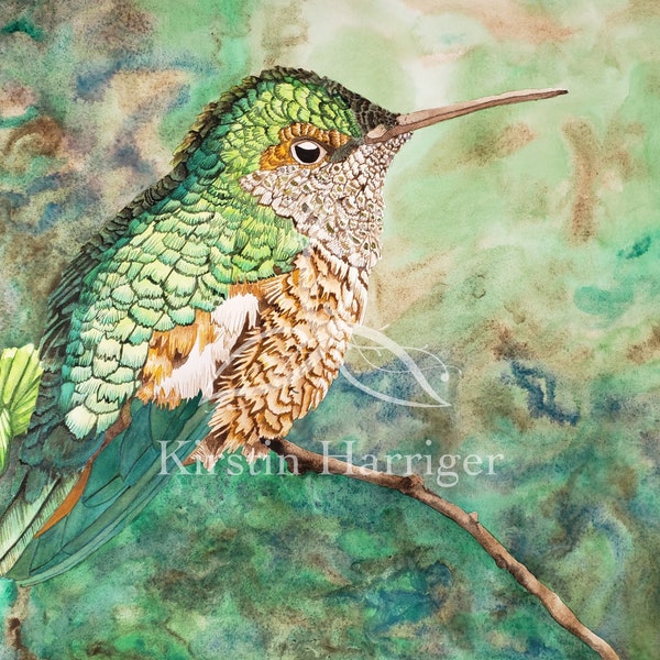 Watercolor Hummingbird Wallpaper - Etsy