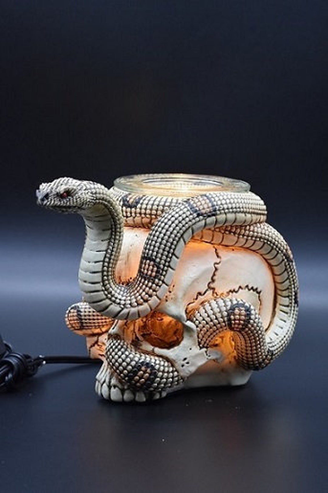 Skull With Snake Aroma Wax Warmer - Etsy