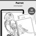 Parrot Coloring Pages: Bird-themed Art Activity (digital Download) - Etsy