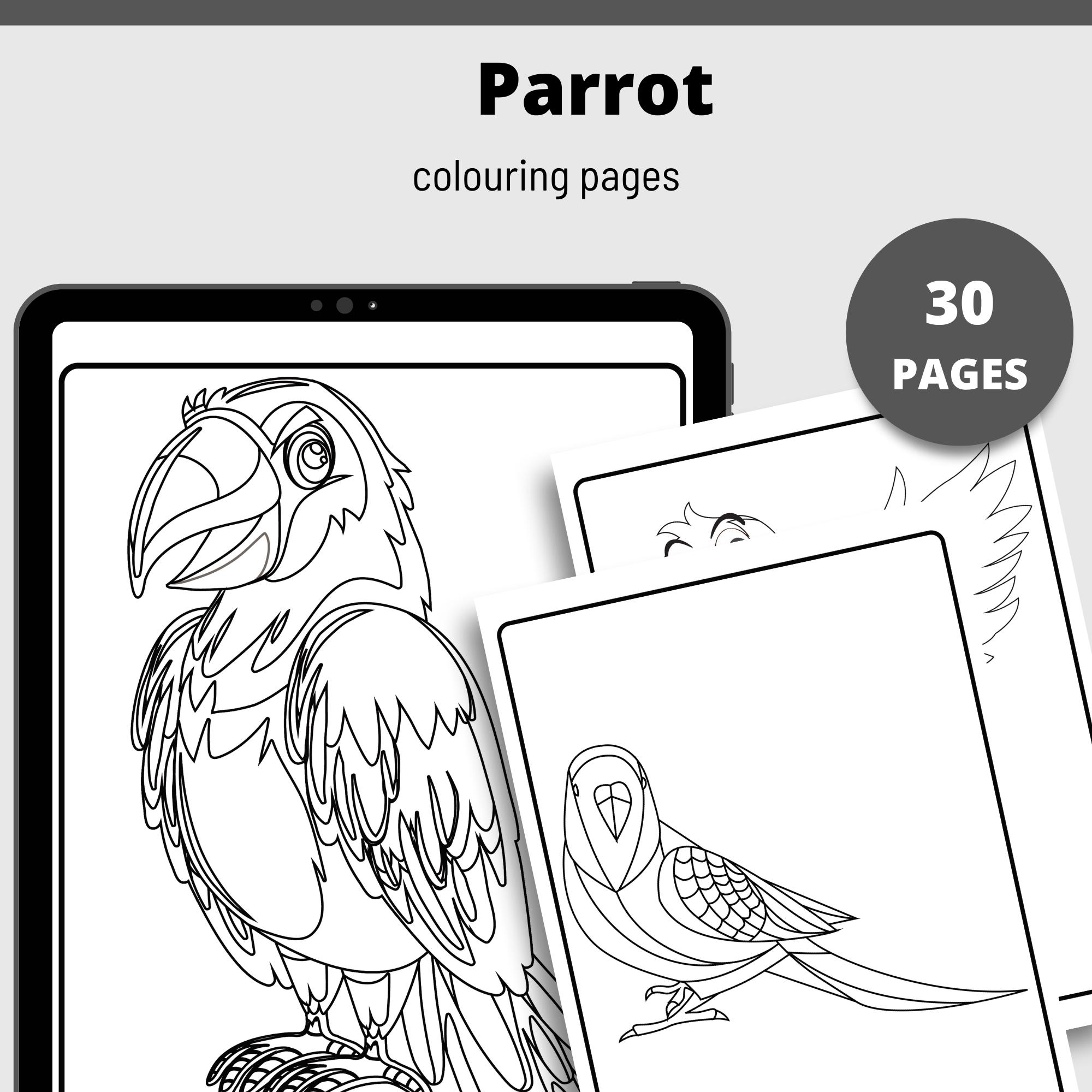 Parrot Coloring Pages | Printable Parrot Coloring Sheets for Kids ...