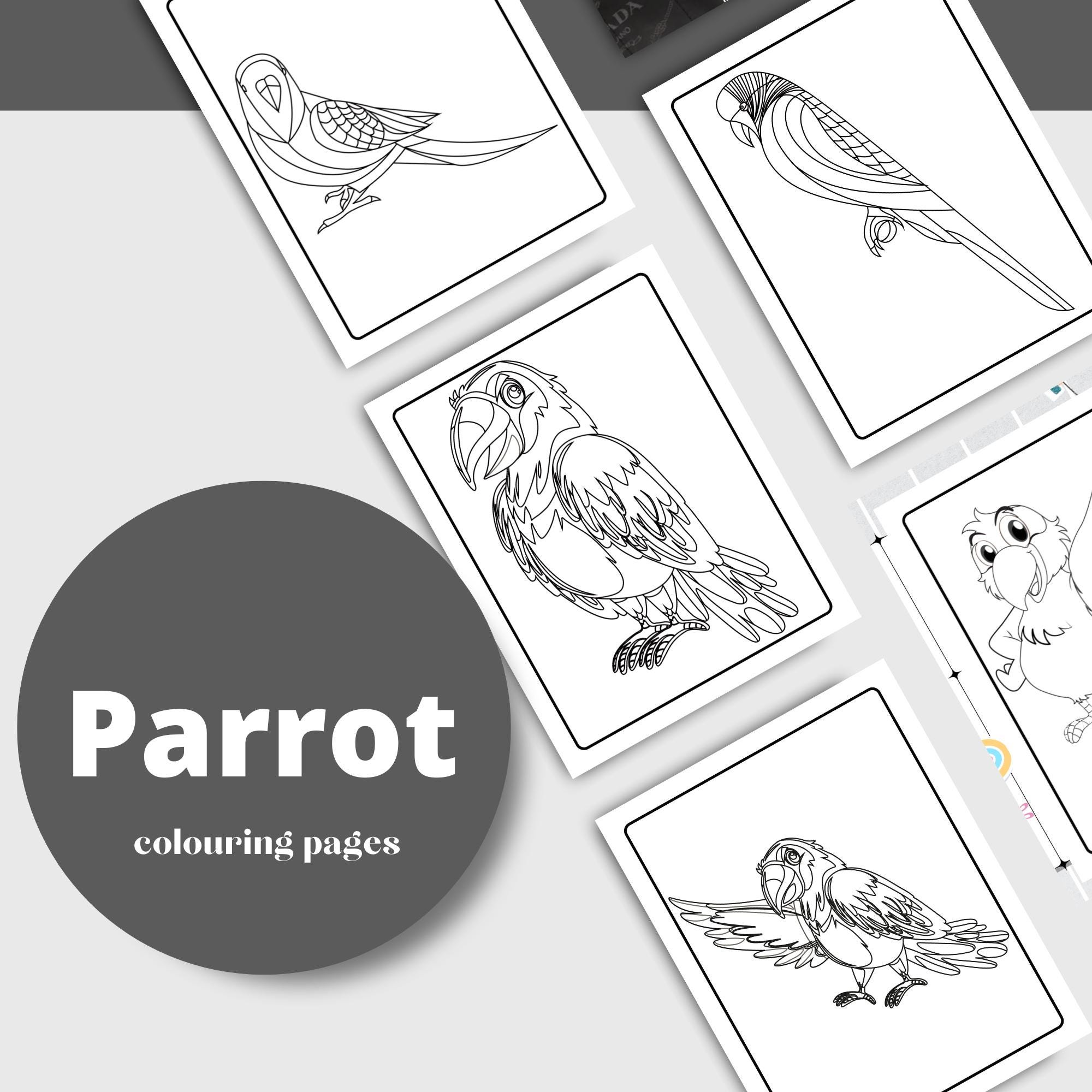 Parrot Coloring Pages | Printable Parrot Coloring Sheets for Kids ...