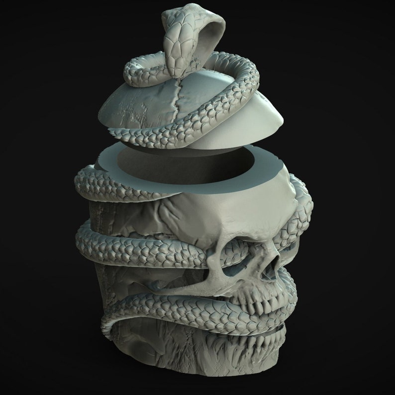 Snake Skull Jar STL Format 3D Printable Ready File - Etsy