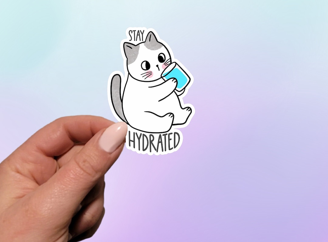 Stay Hydrated Cat Sticker | Kitty Sticker | Funny Sticker | Drink Water ...