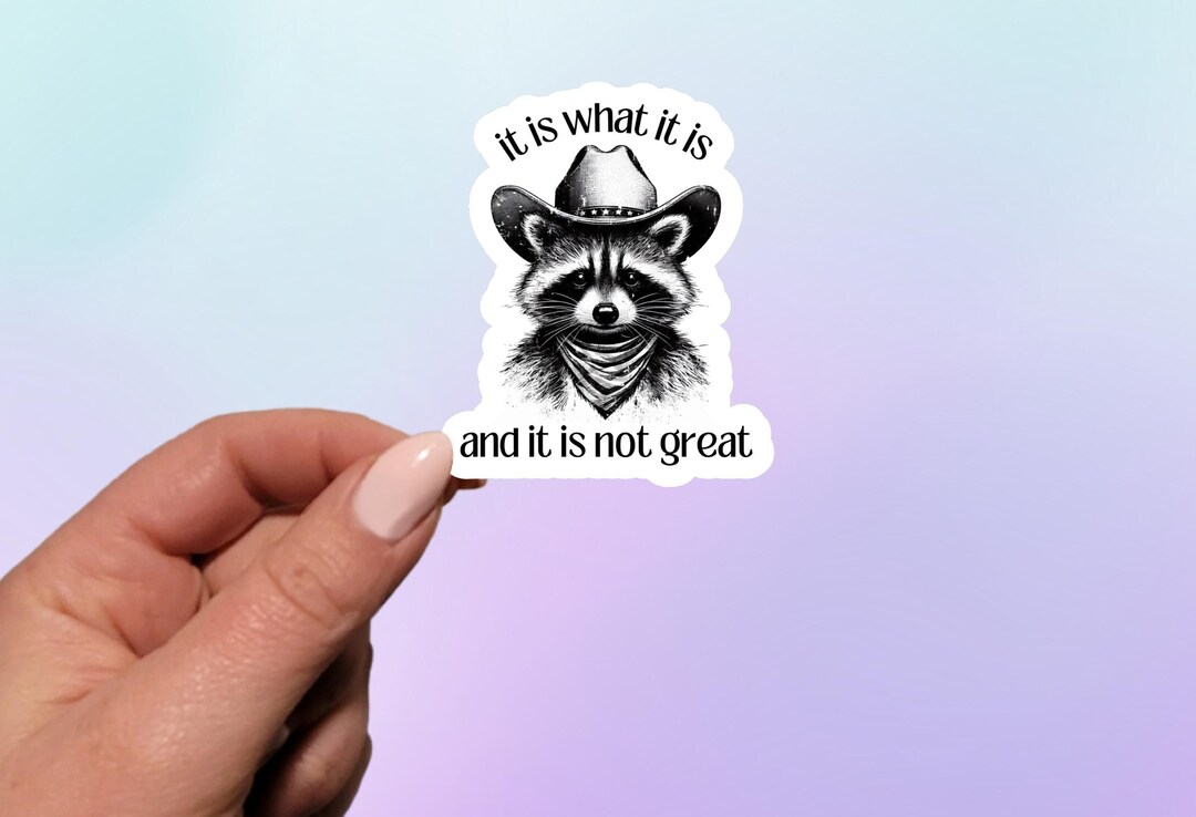 It is What It is and It's Not Great Raccoon Sticker | Raccoon Bandit ...