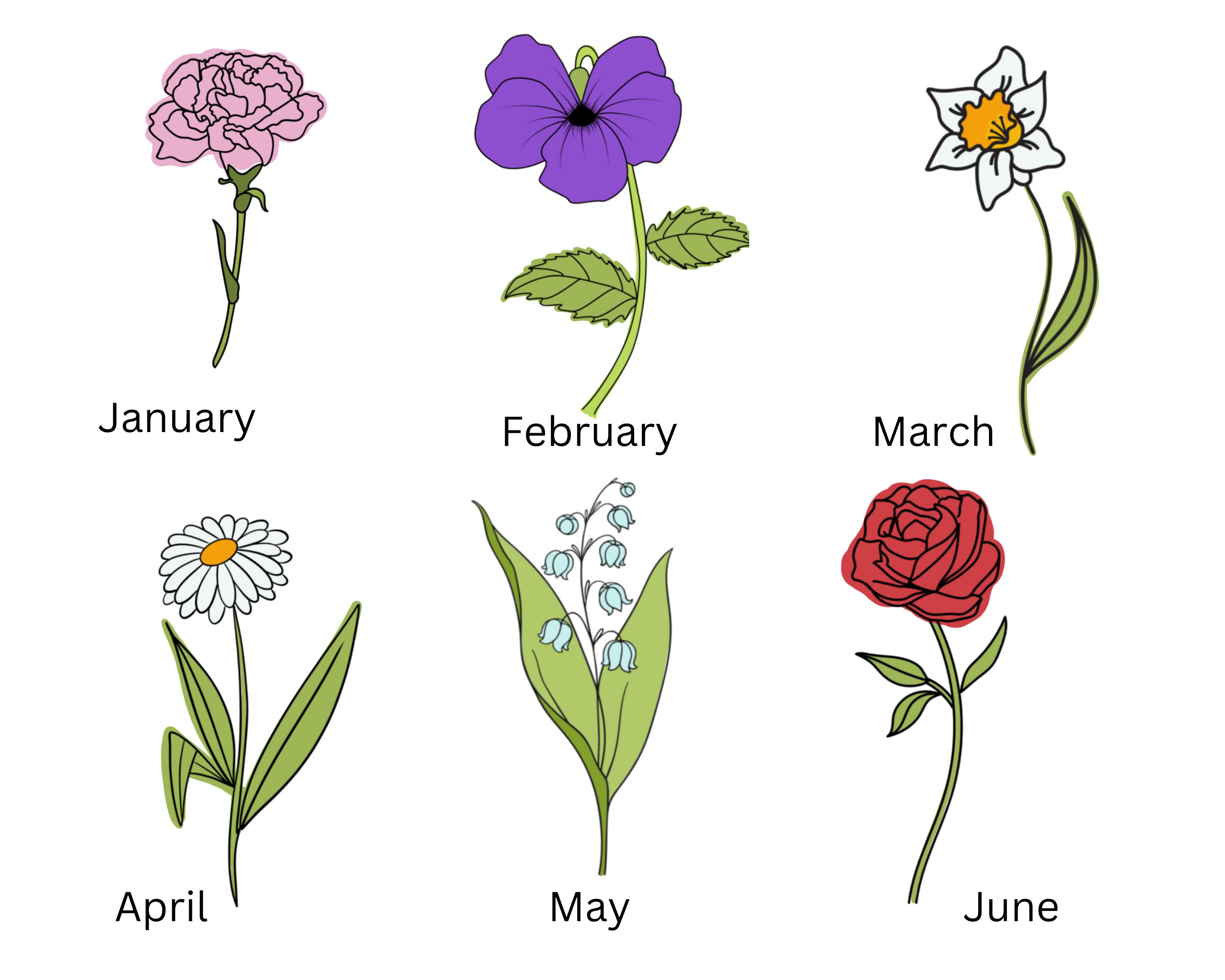 Birth Flower Stickers | Flower Sticker | Birth Month Sticker | Mama ...