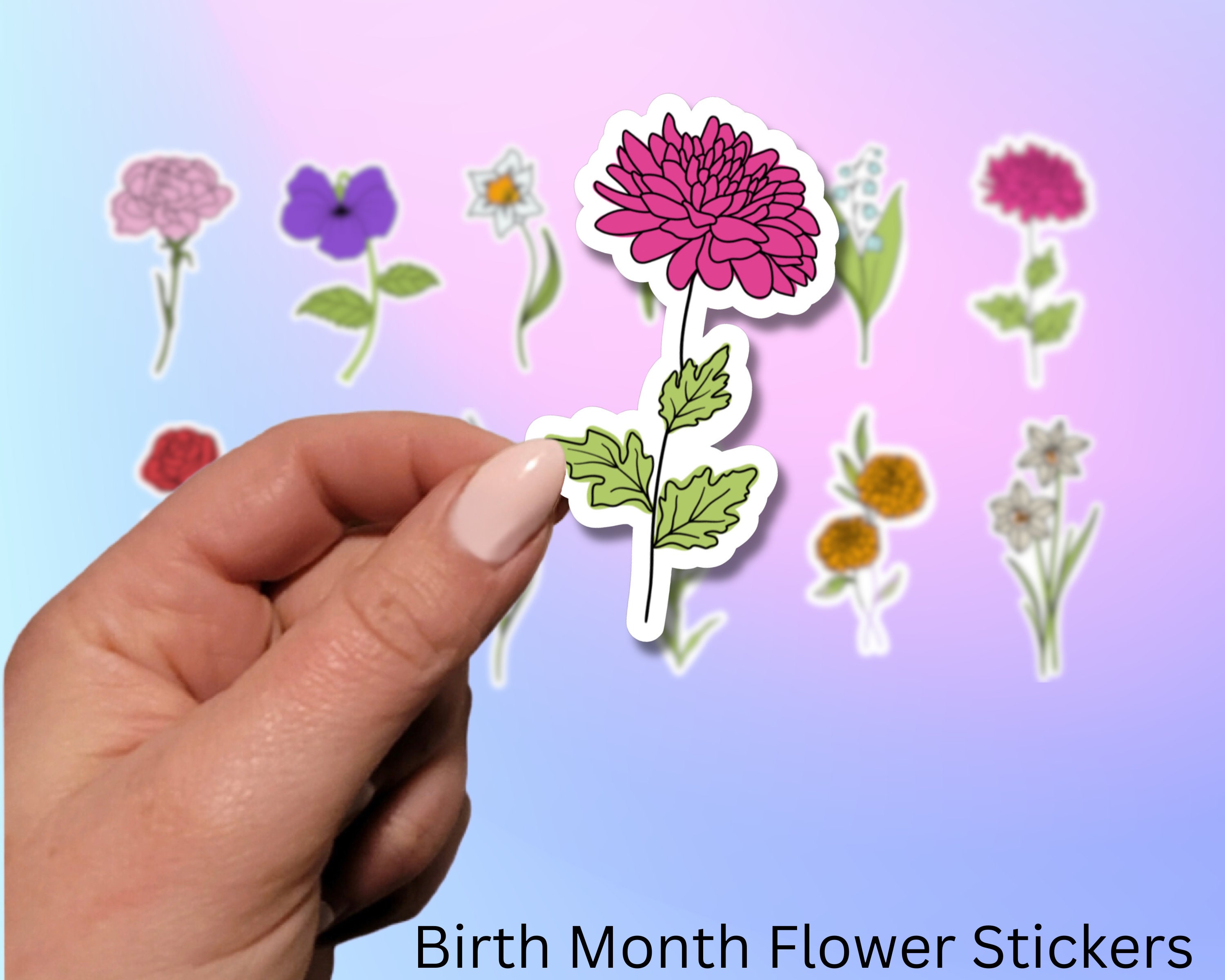 Birth Flower Stickers | Flower Sticker | Birth Month Sticker | Mama ...