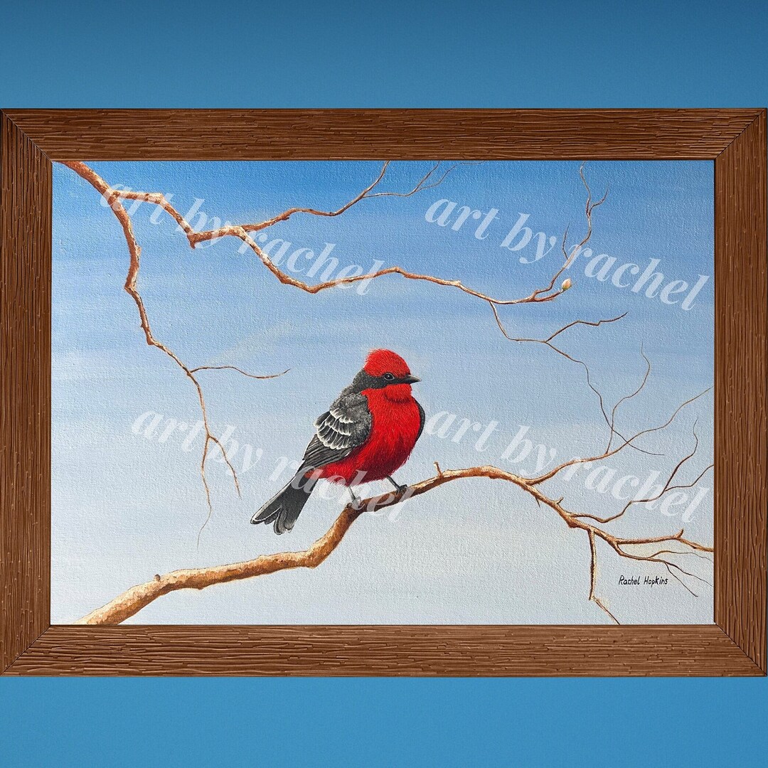 Printable Painting of Vermilion Flycatcher | Digital Art Print Download ...