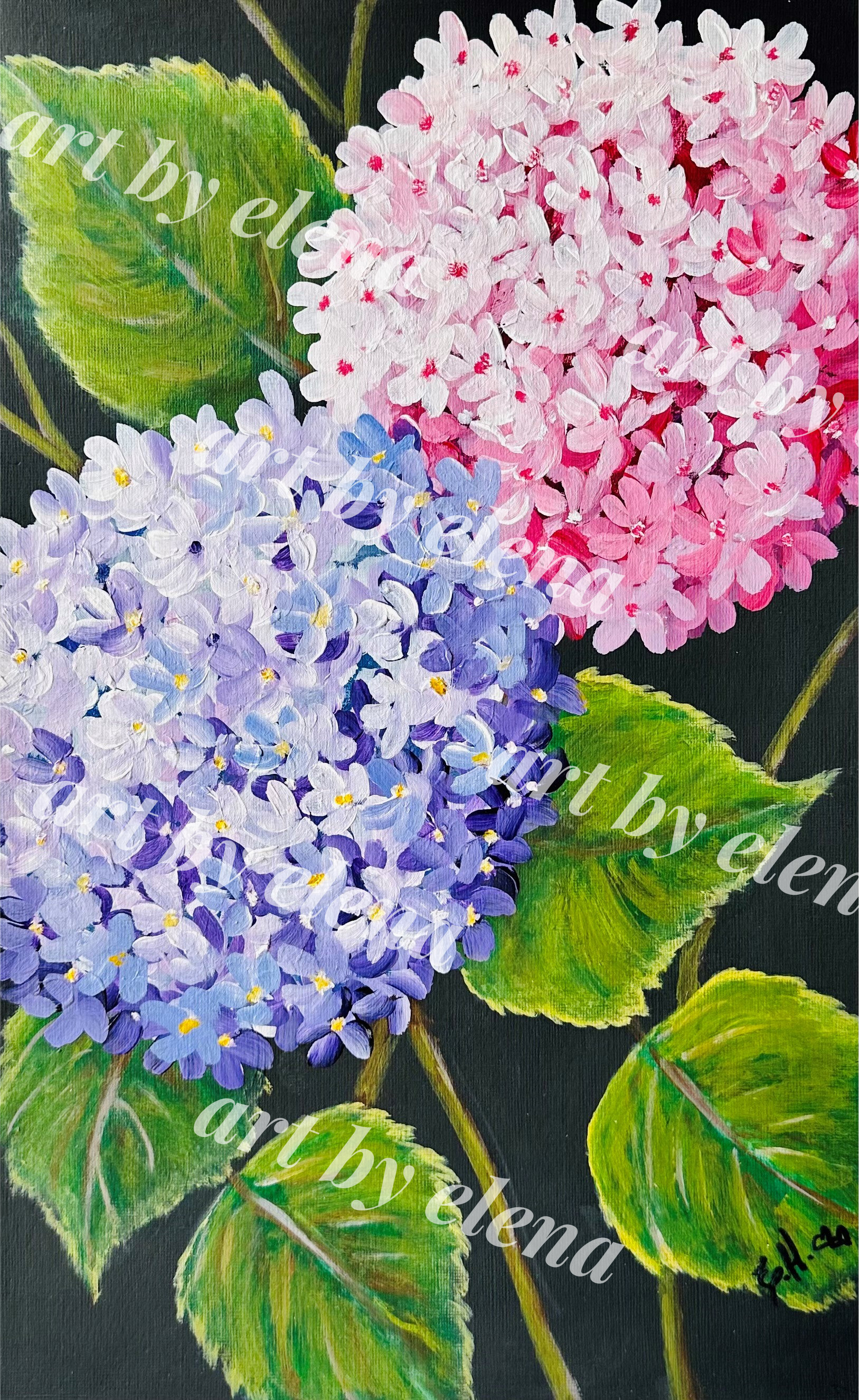 Printable Painting of Hydrangeas Digital Art Print Download - Etsy