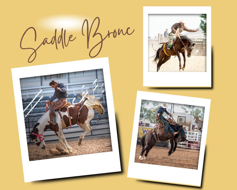 Saddle Bronc Riding Word Search, Bucking Bronco Games for Kids, Rodeo ...