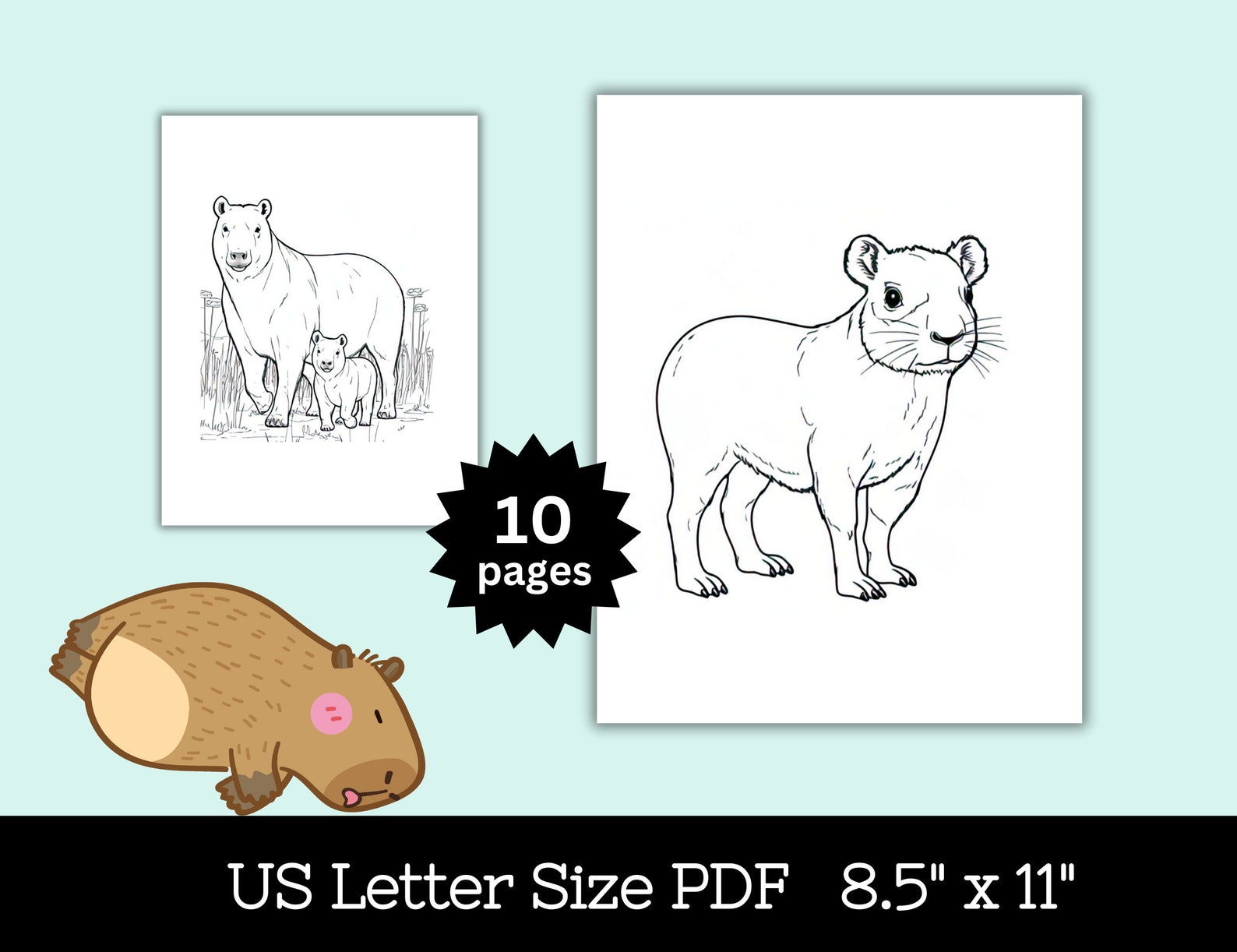 Capybara Coloring Book Capybara Coloring Preschool Coloring - Etsy