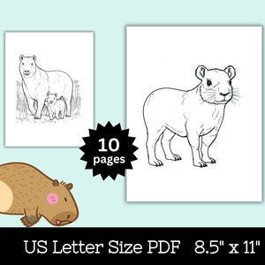 Capybara Coloring Book , Capybara Coloring, Preschool Coloring Pages ...