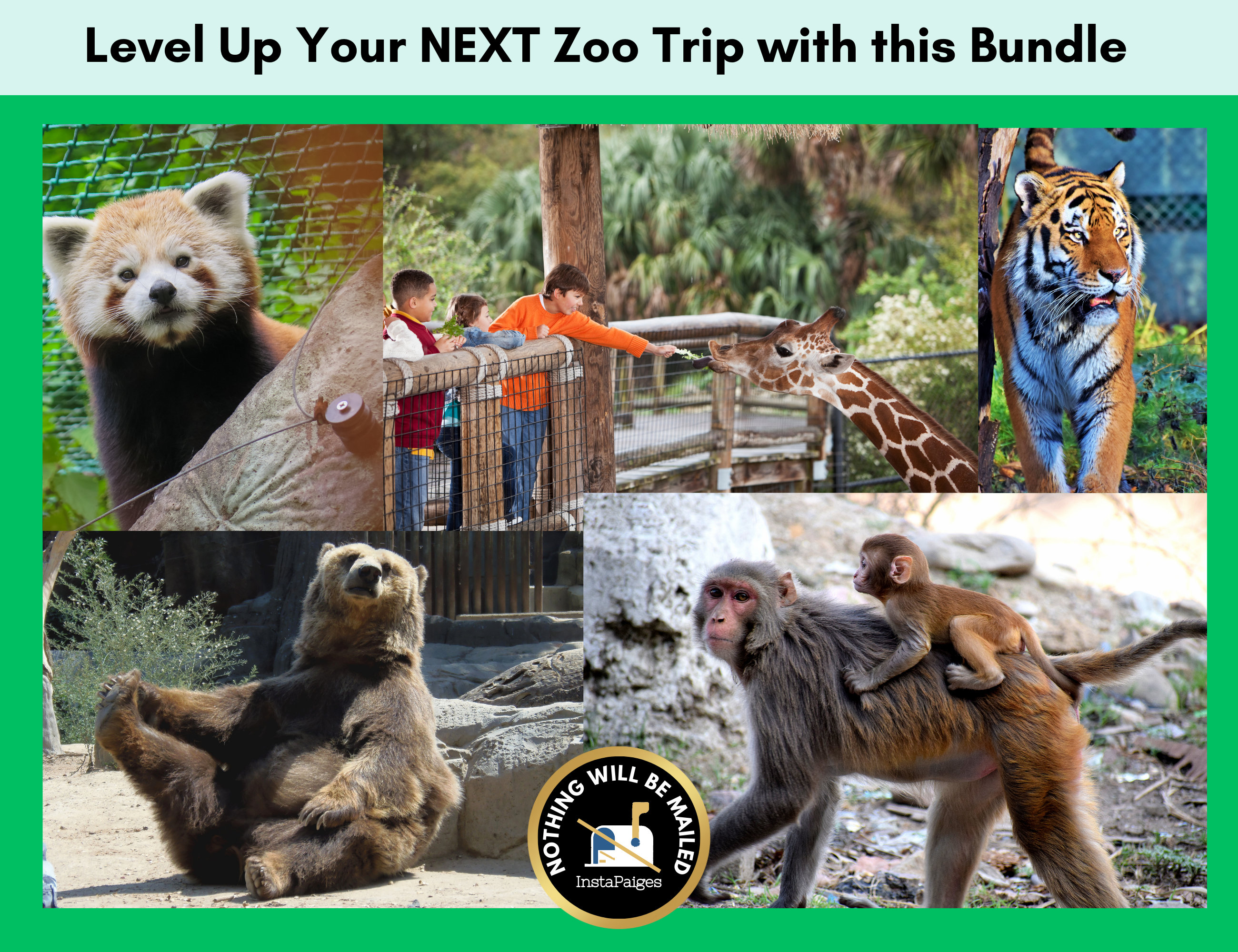 Zoo Scavenger Hunt Game Bundle, Zoo Animals Coloring Pages, A-Z Zoo ...