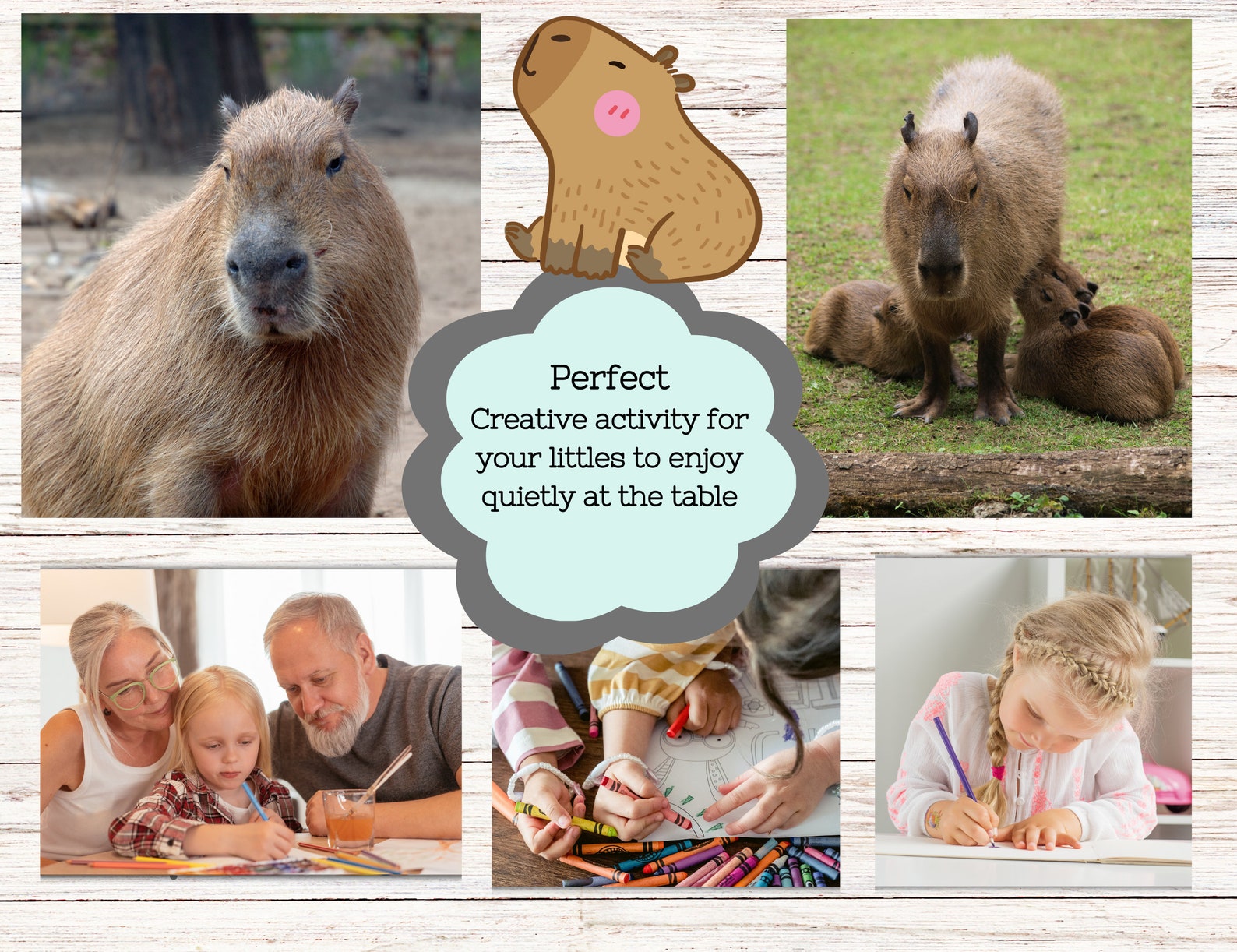 Capybara Coloring Book , Capybara Coloring, Preschool Coloring Pages ...