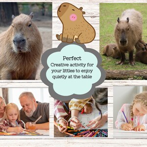 Capybara Coloring Book , Capybara Coloring, Preschool Coloring Pages ...