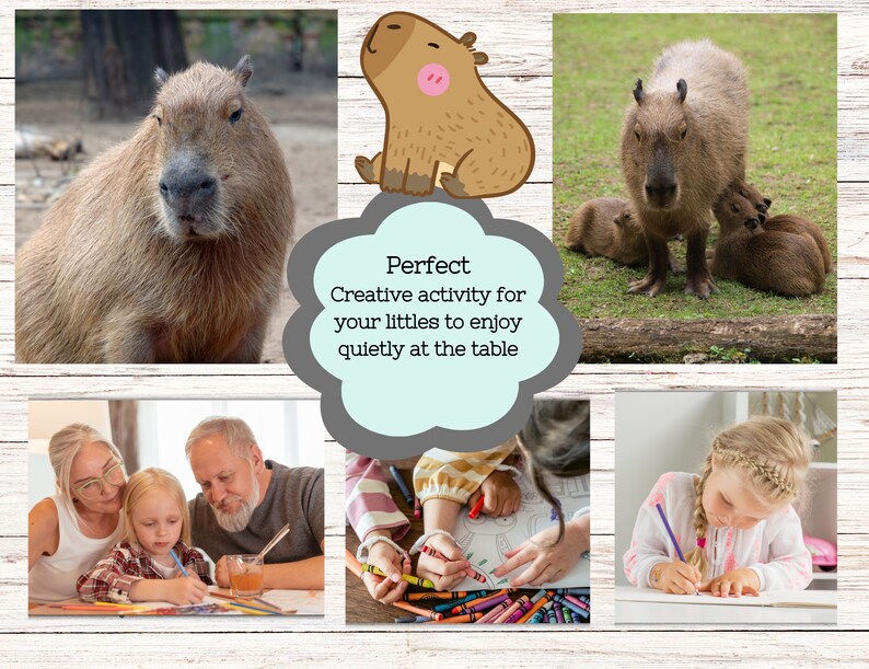 Capybara Coloring Book , Capybara Coloring, Preschool Coloring Pages ...