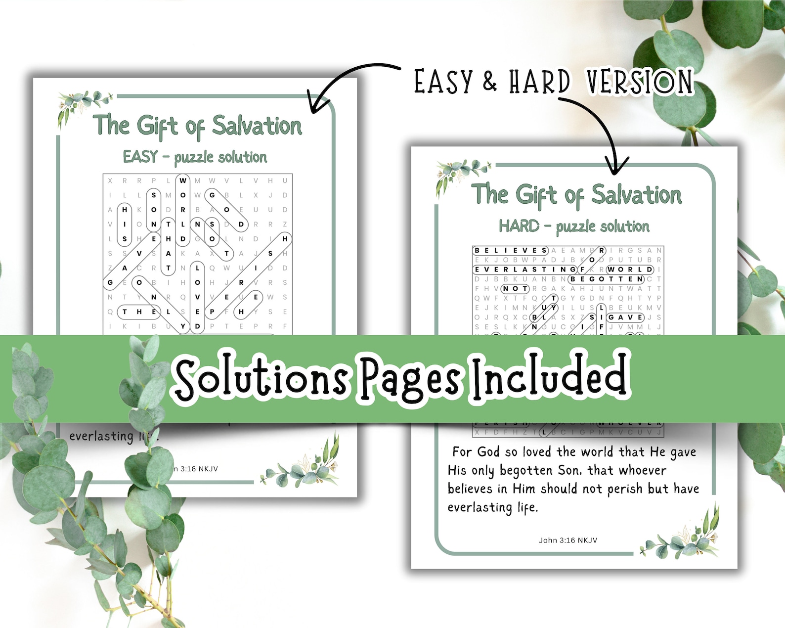 The Gift of Salvation Word Search, John 3 16, Plan of Salvation, Bible ...