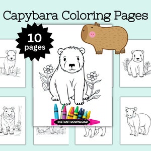 Capybara Coloring Book , Capybara Coloring, Preschool Coloring Pages ...