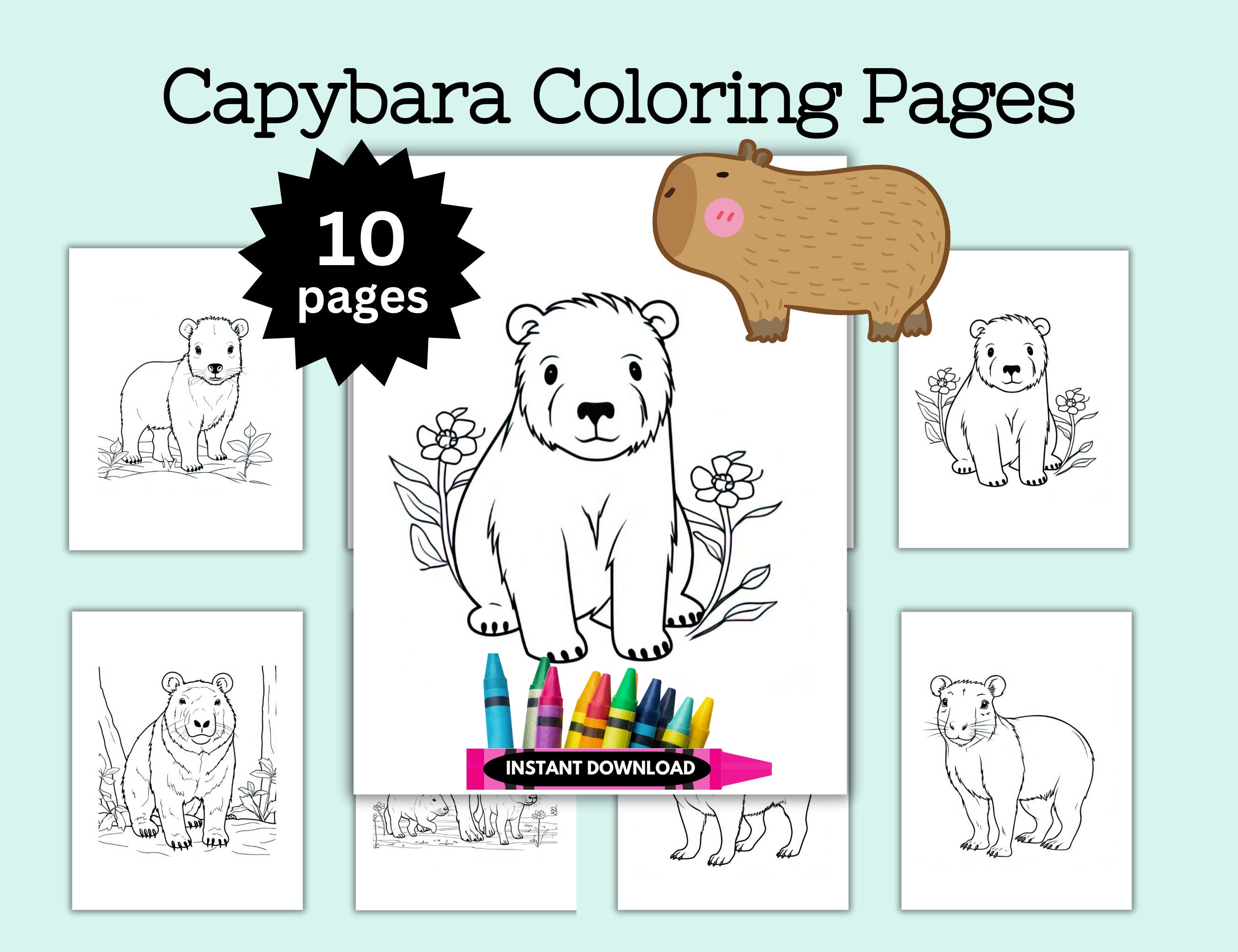 Capybara Coloring Book Capybara Coloring Preschool Coloring - Etsy