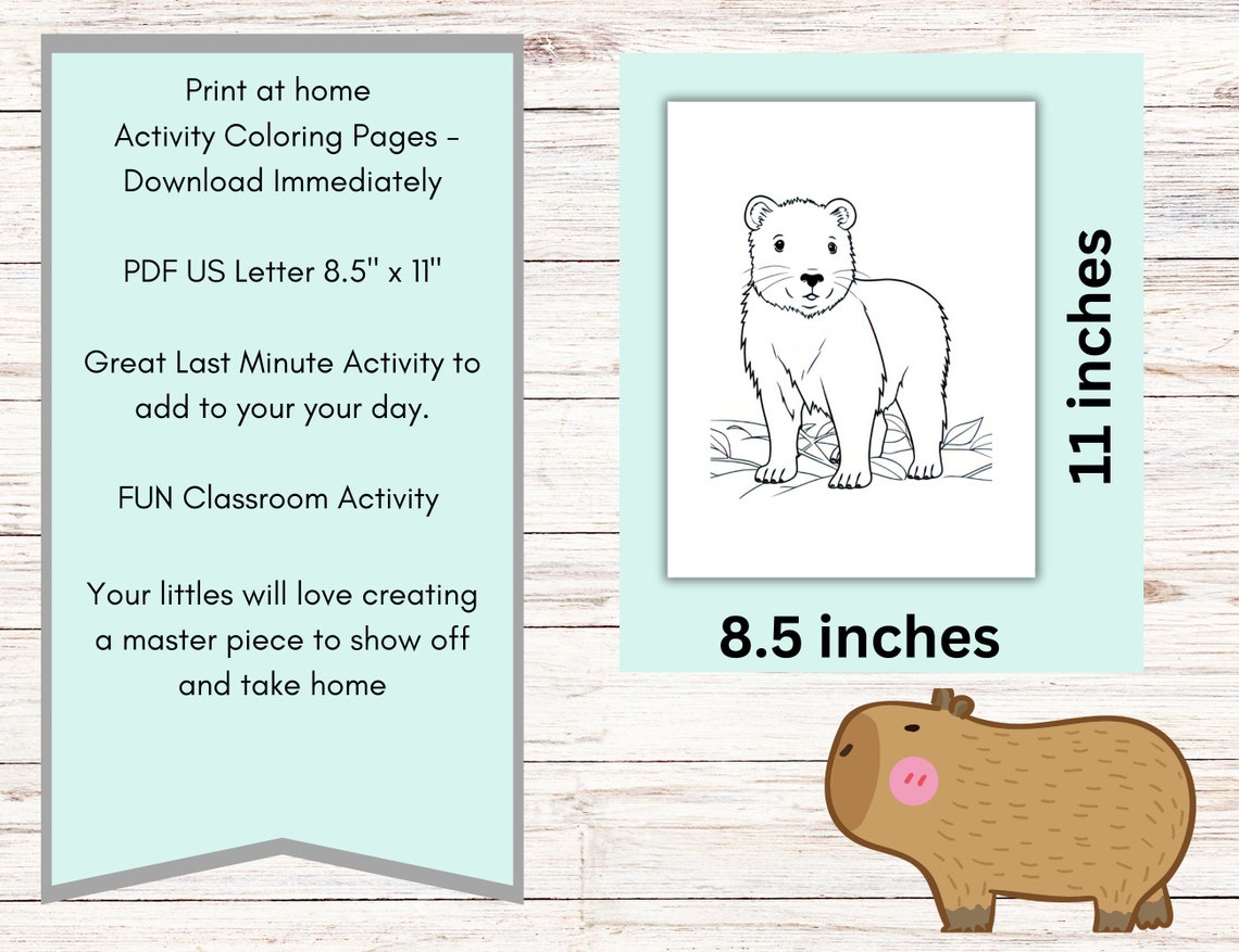 Capybara Coloring Book Capybara Coloring Preschool Coloring - Etsy