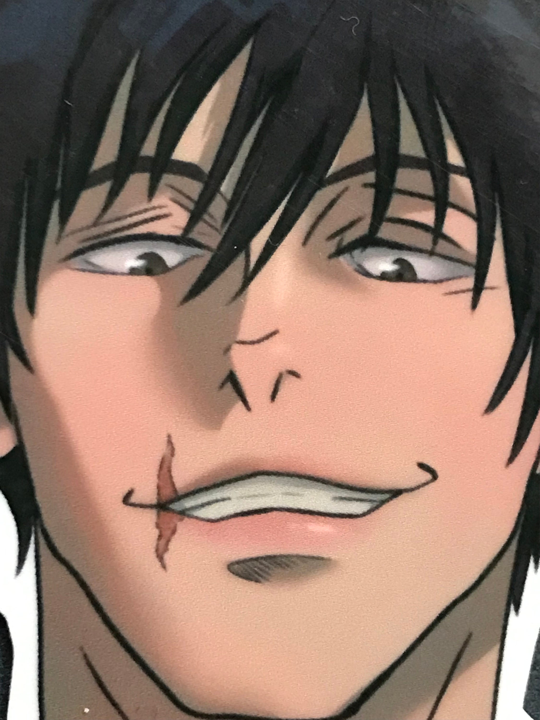 Toji Fushiguro Vinyl Sticker Fanmade JJK Sticker Jujutsu Kaisen Anime ...