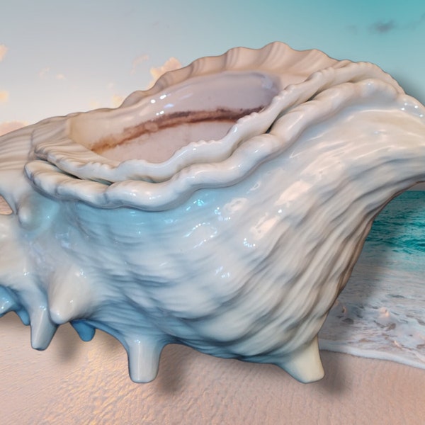 Conch Shell Planter - Etsy