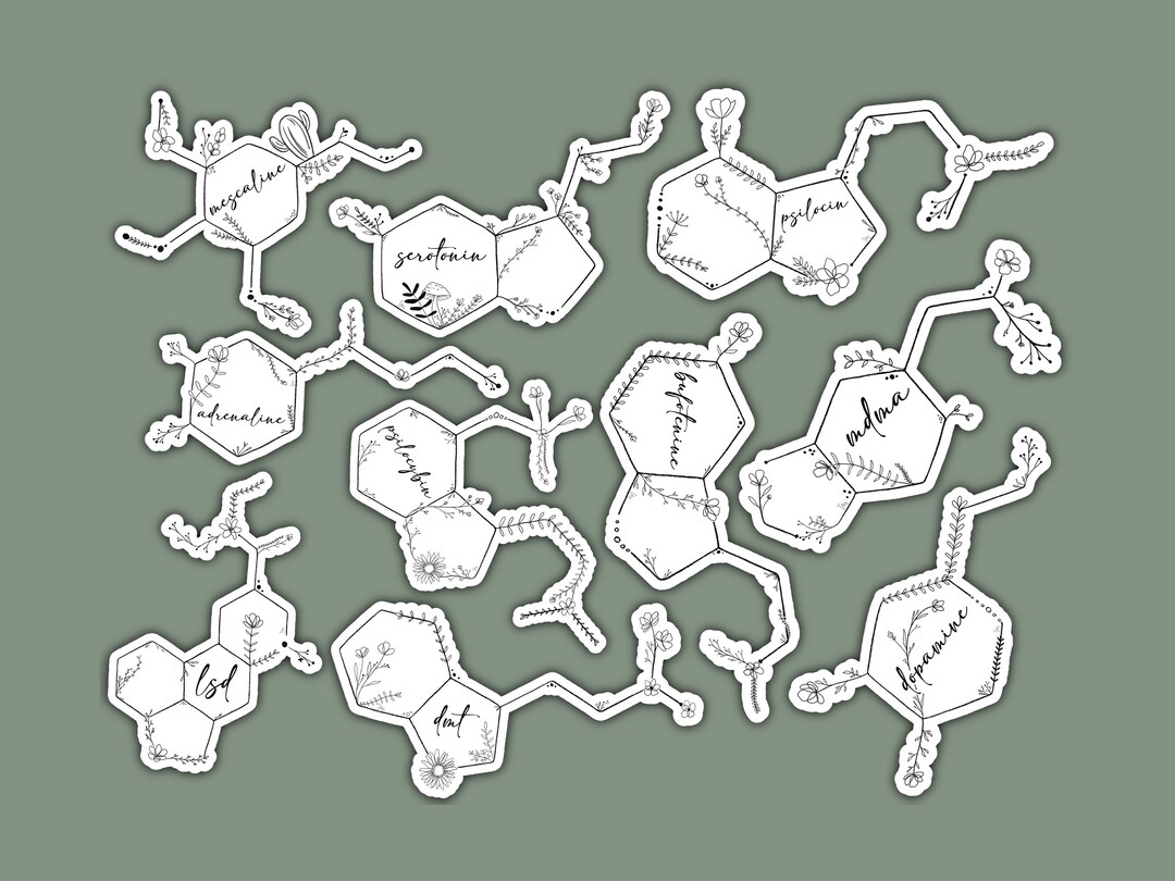 Molecules Stickers - Etsy