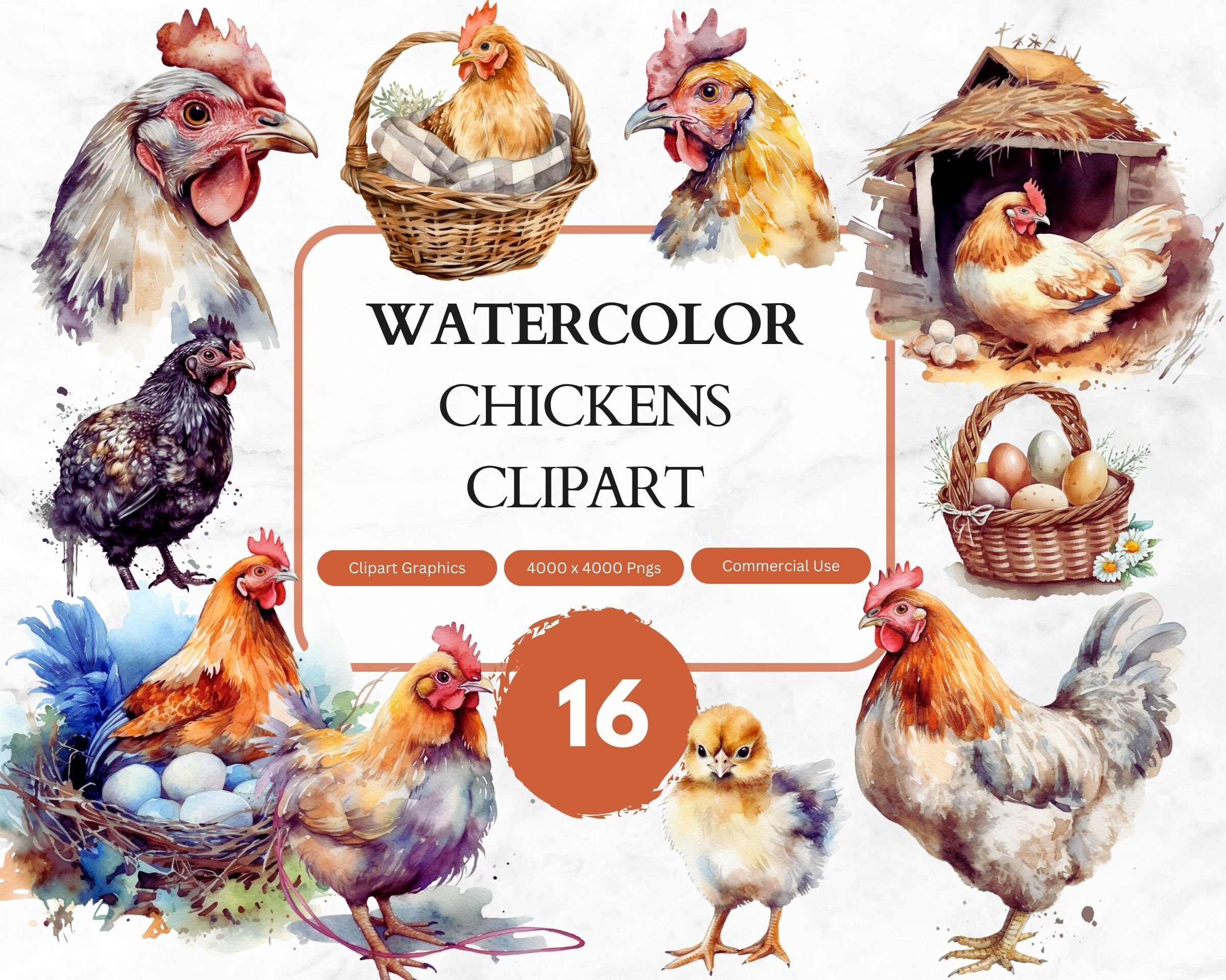 Chickens Watercolor Clipart , Farm Animal Images, Cute Chicken Rooster ...