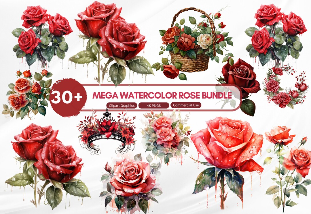 Watercolor Mega Red Roses Clipart, Boho Rose Clipart, Red Rose Png ...