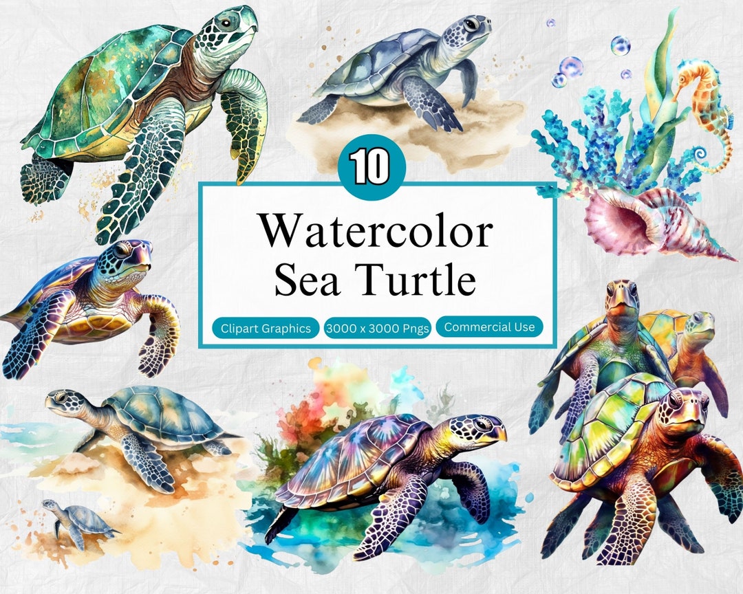 Watercolor Sea Turtle Clipart, Cute Nautical Ocean Animals PNG Clip Art ...