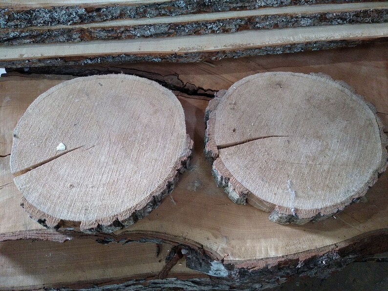Rustic Tree Rounds and Circles With Live Bark Edges - Various Sizes ...