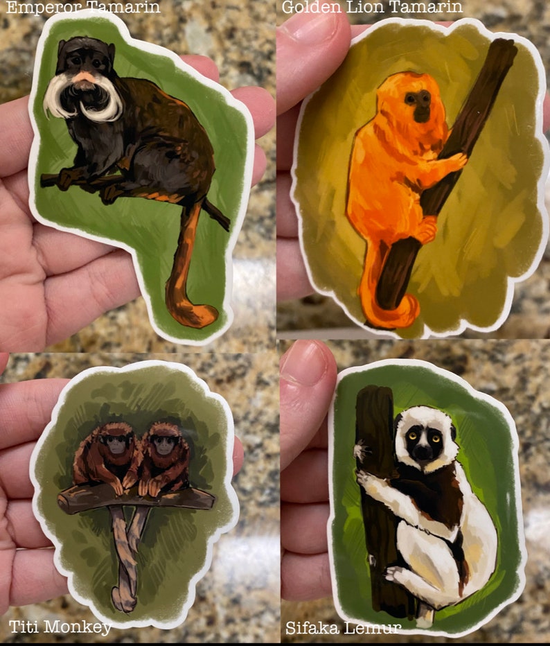 Primate Species Sticker / Vinyl Sticker / Laptop Sticker / Monkey ...