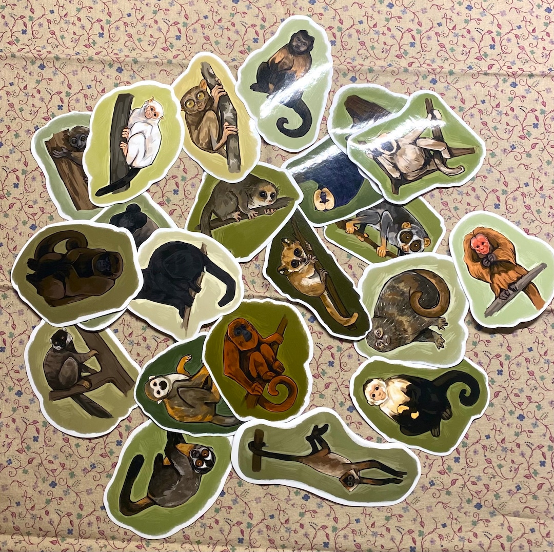 Primate Species Sticker 2 / Vinyl Sticker / Laptop Sticker / Monkey ...