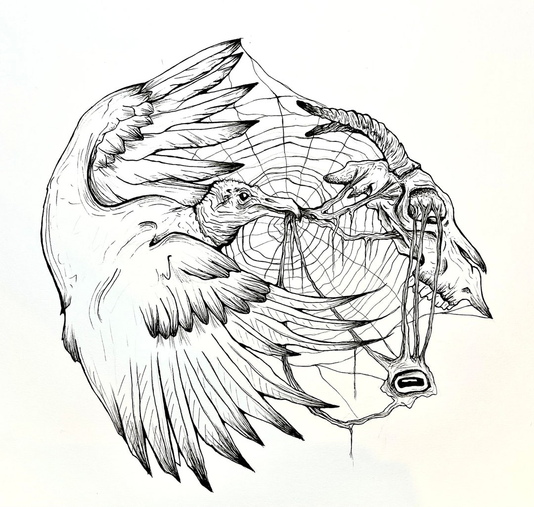 Original Ink Drawing Buzzard/skull - Etsy