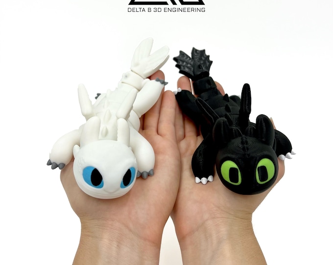 Toothless & Light Fury 3D Printed Fidget How to Train Your Dragon HTTYD ...